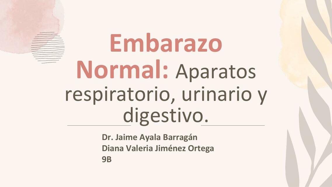 Flashcards de Embarazo normal: aparatos respiratorio, urinario y digestivo | Por Diana Laura ...