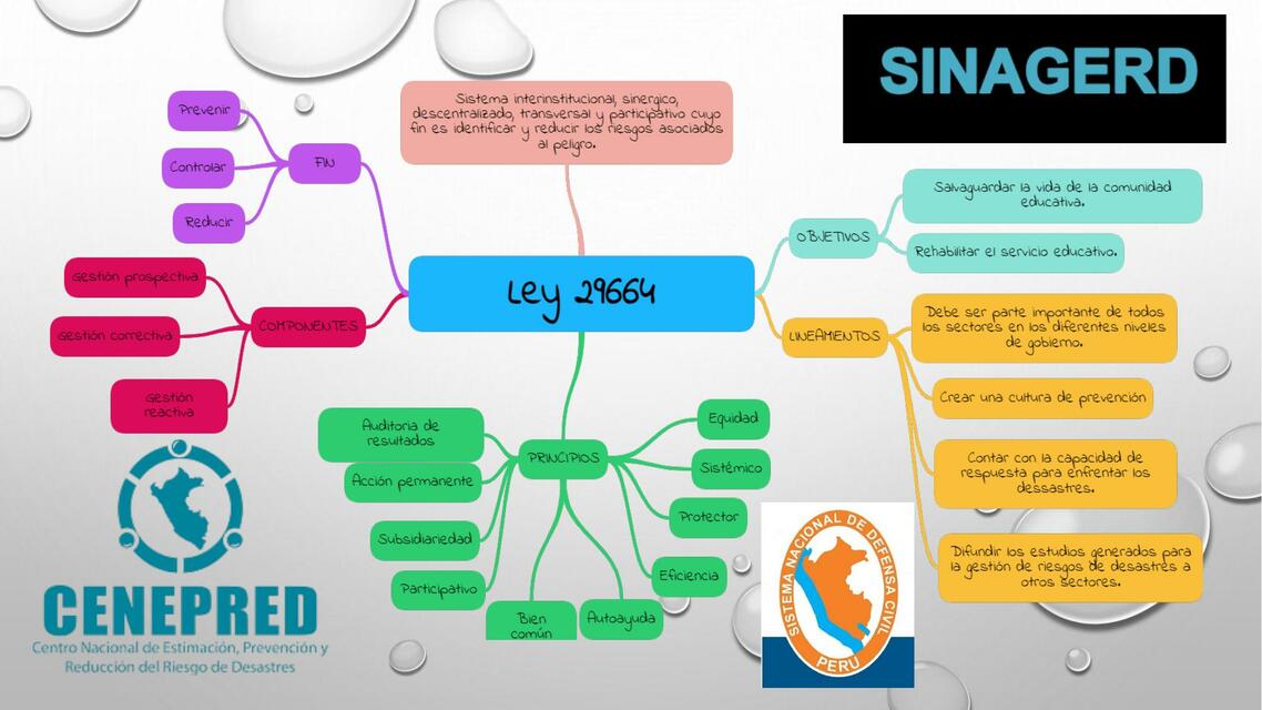LEY DEL SINAGERD | Nursing_assist4nce | uDocz