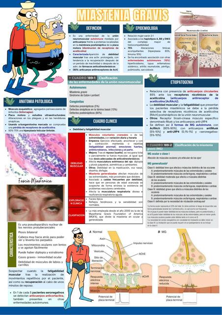 Miastenia gravis | @medicerebros | uDocz