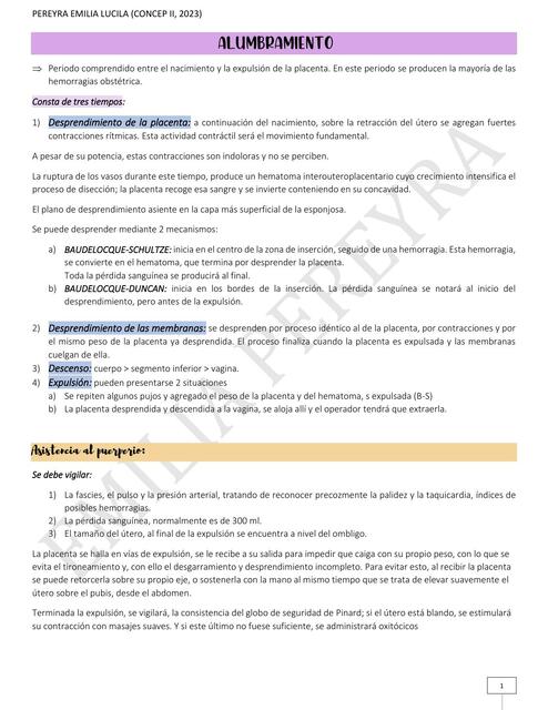 Alumbramiento | Emi Pereyra | uDocz