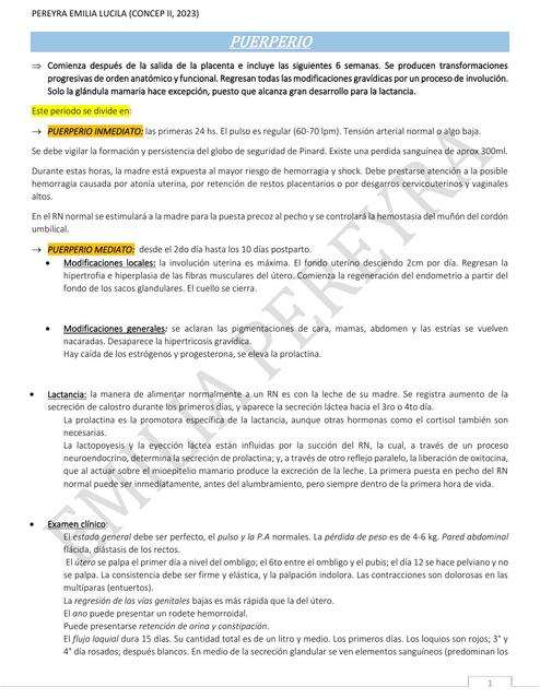 Puerperio | Emi Pereyra | uDocz