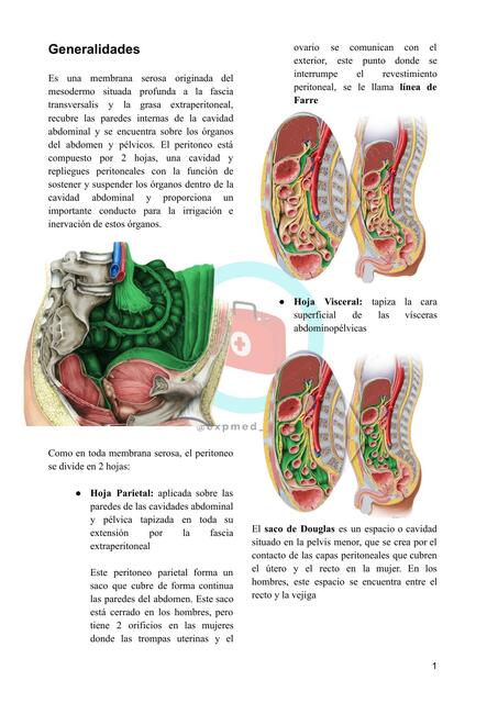 Diagrama De Peritonio
