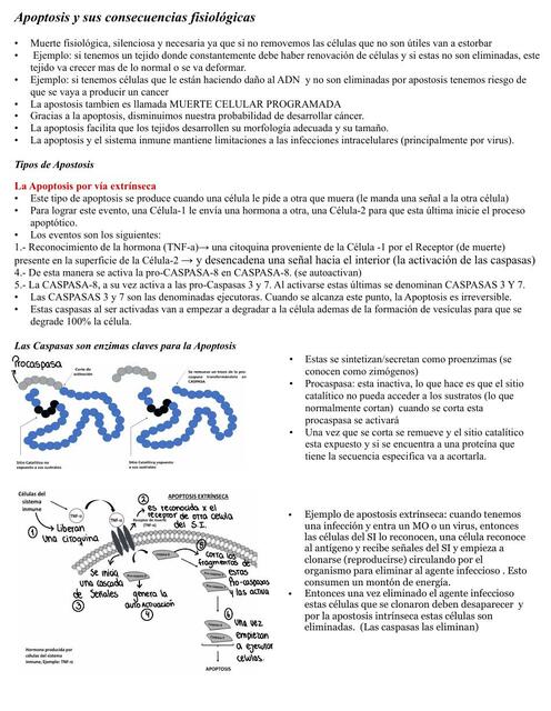 Fisiopatología | Dayana | uDocz
