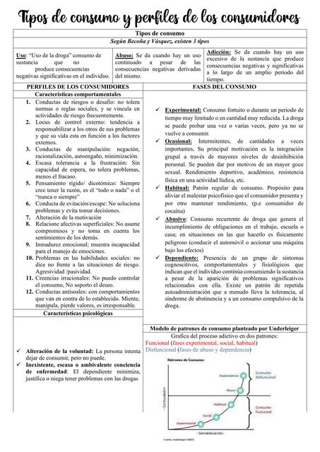 Tipos de consumo y perfiles de los consumidores- Módulo 2 | Cristina Durand | uDocz