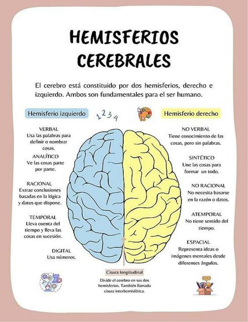 Hemisferios cerebrales | fraii | uDocz Hemisferios cerebrales | fraii | uDocz