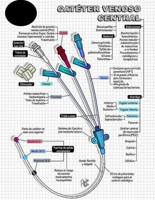Catéter venoso central | fraii | uDocz