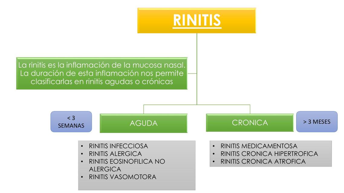 Rinitis aguda y cronica | Yerson RV | uDocz