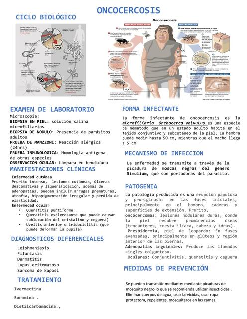 Oncocercosis | Daniela Gonzales | uDocz