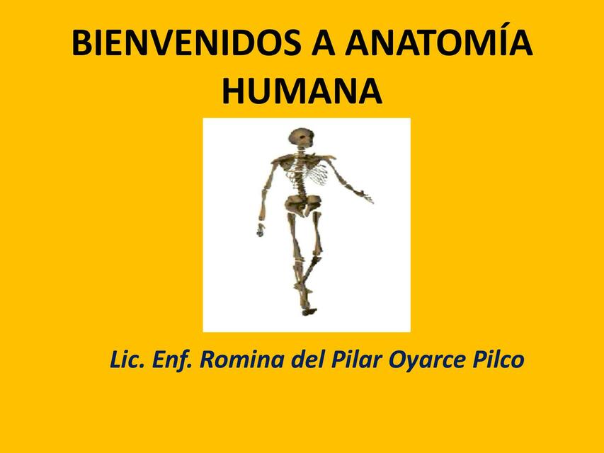 Anatomía Humana Romina Del Pilar Oyarce Pilco Udocz