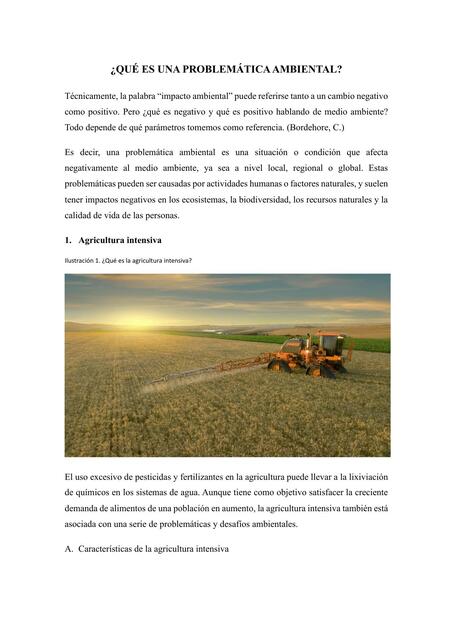 ¿Qué es una Problemática Ambiental? | samsstudy | uDocz