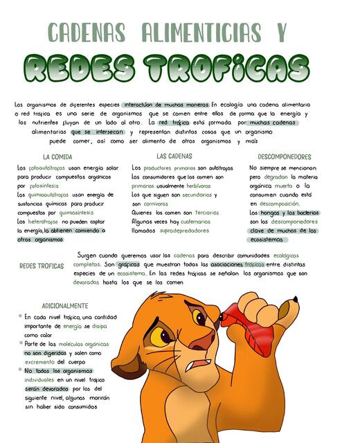 Cadenas Alimenticias y Redes Tróficas | cammiau_ | uDocz