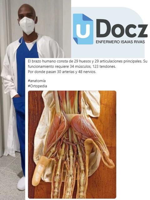 Anatomía del brazo | Enfermero Isaias Rivas | uDocz
