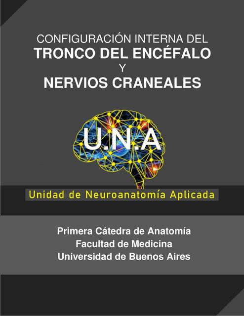 Configuración Interna del Tronco del Encéfalo y Nervios Craneales | Amanda Queiroz | uDocz