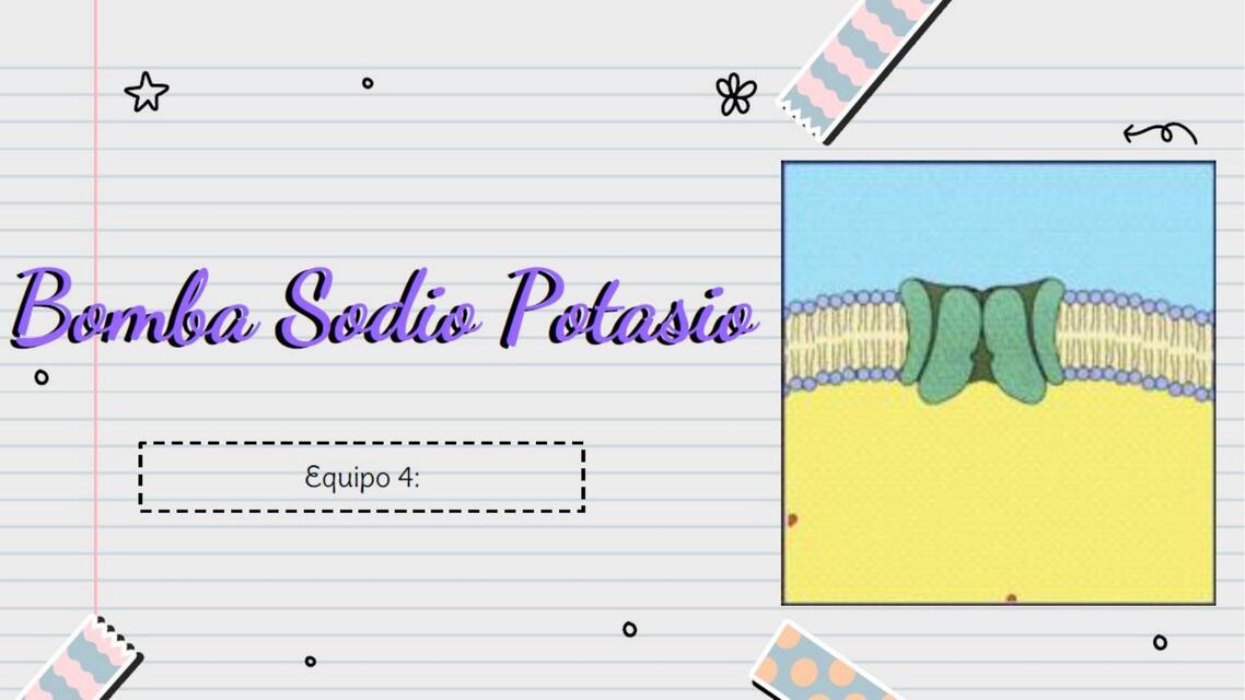Bomba sodio potasio | Janel Crux | uDocz