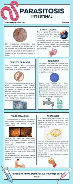 Parasitosis intestinal | Jasmine Mavel Vega Vega | uDocz