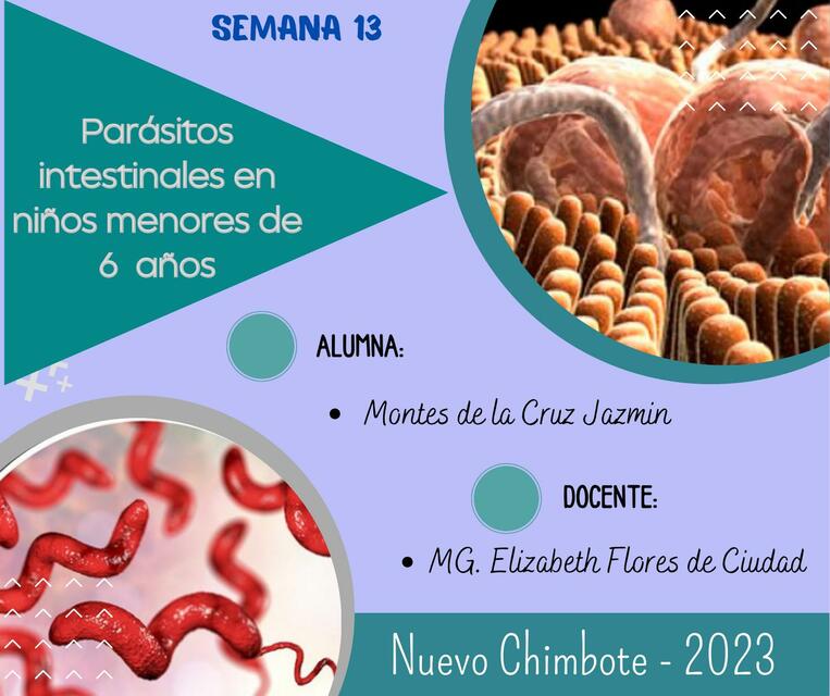 Los parásitos intestinales en niños menores de 6 años | Jasmine Mavel ...