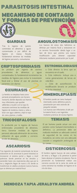 Parasitosis intestinal Mendoza Andrea | Jasmine Mavel Vega Vega | uDocz
