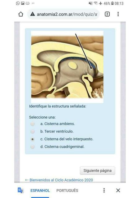 Anatomía | Navarro Emilse | uDocz