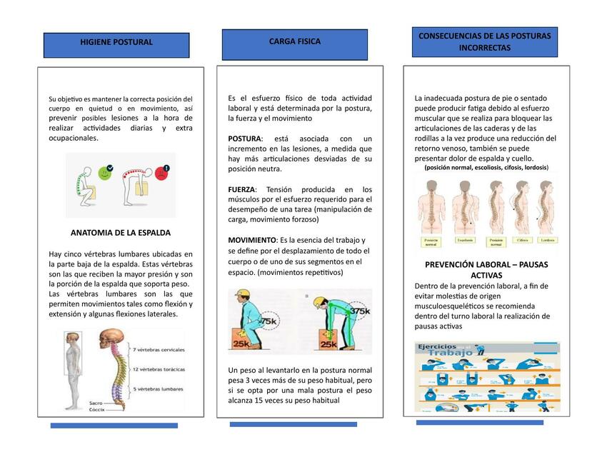 Higiene Postural Tipos : Higiene Postural: Información Completa ...