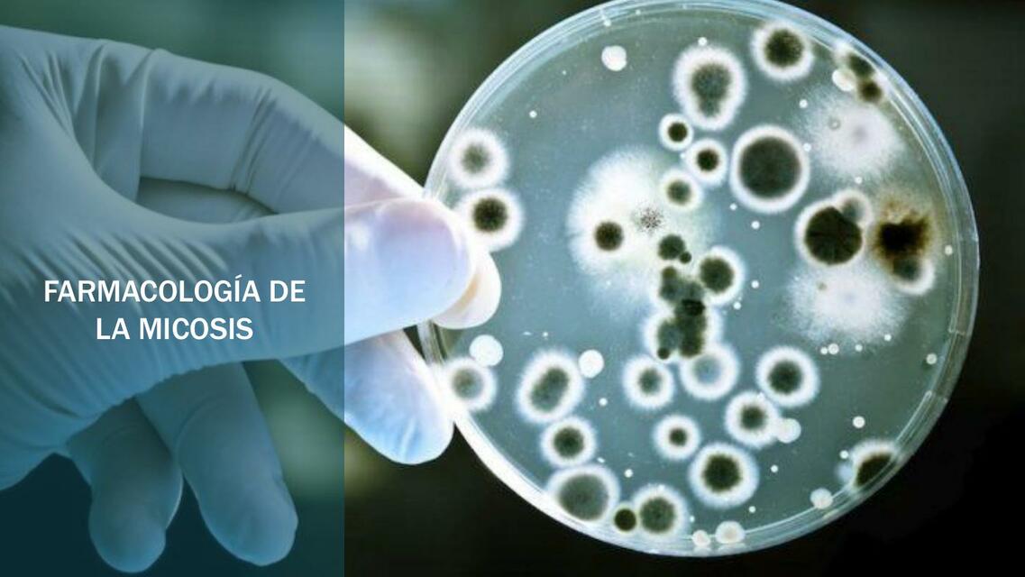 FARMACOLOGIA MICOSIS | Caleb Adonis Rivas Molina | uDocz