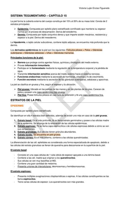 Tegumentario. Cap 15. Resumen Histología de Ross. | Victoria Enciso | uDocz
