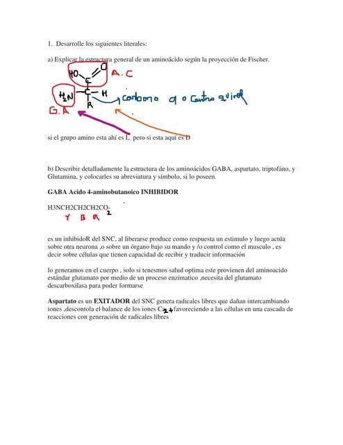 Aminoacidos | Emily Gabriela Rodriguez Carpio | uDocz