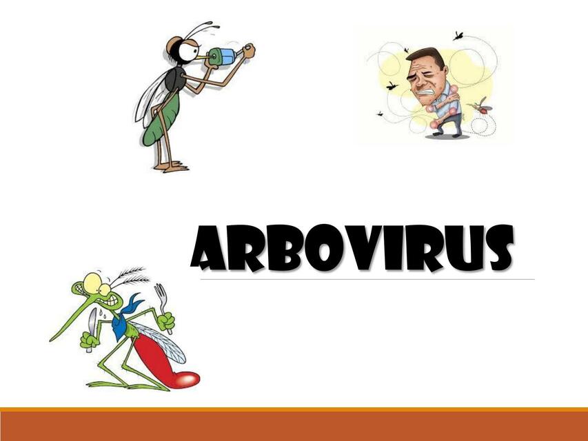 Arbovirus | Felisa Ivania Gomez Garcia | uDocz
