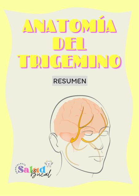 Anatomía del trigemino | Salud bucal | uDocz