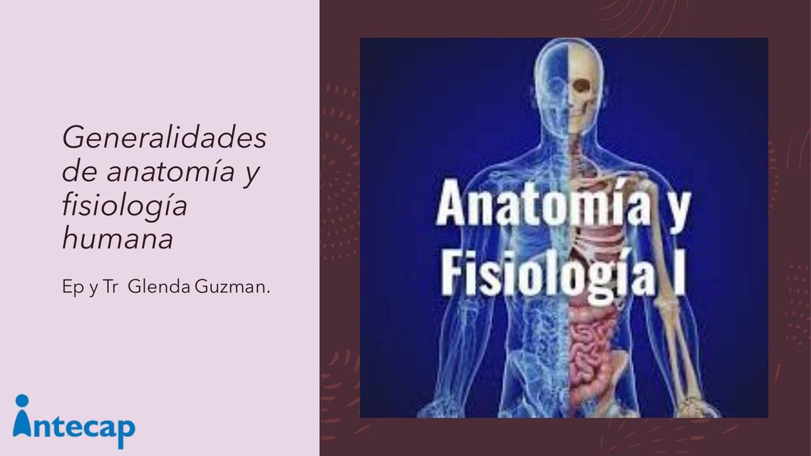 Generalidades de anatomía y fisiología humana | Vinicio | uDocz
