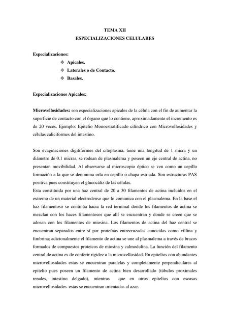 Histo 1° Parcial ULA | uDocz