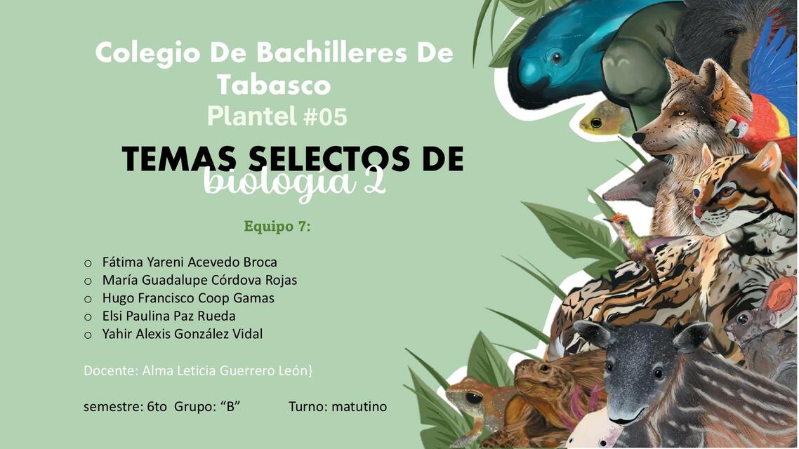 Biologia animal | Acevedo Broca Fátima Yareni | uDocz