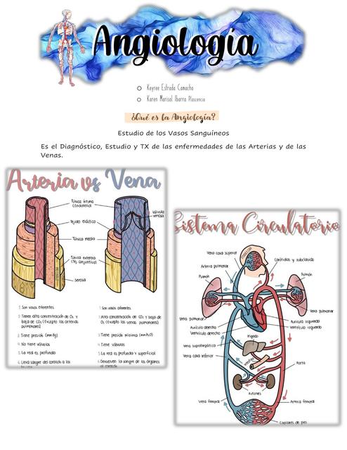 Angiología | Marisol Ibarra | uDocz