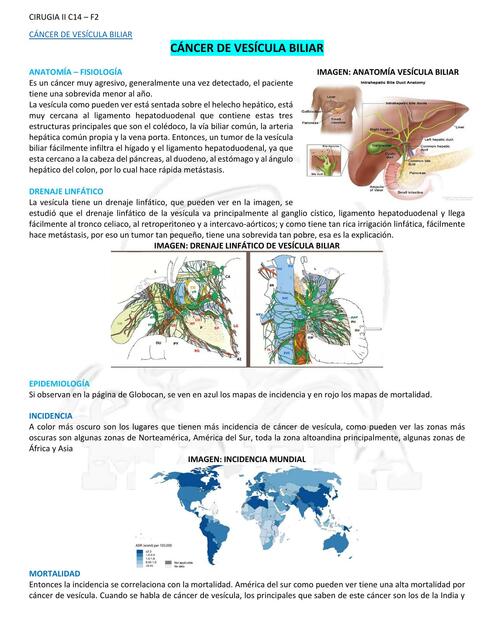 Cáncer de vesícula biliar | ALEJANDRA | uDocz