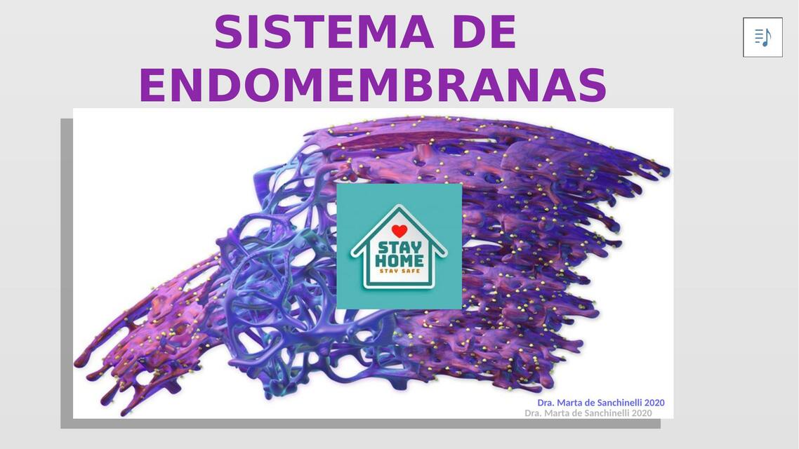 Sistema de Endomembranas | Carlos | uDocz