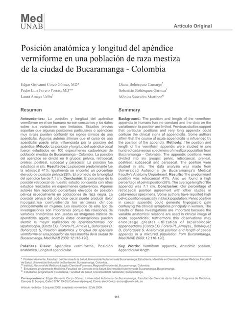 Posición Anatómica y Longitud del Apéndice Vermiforme | MIGUEL ANGEL ...