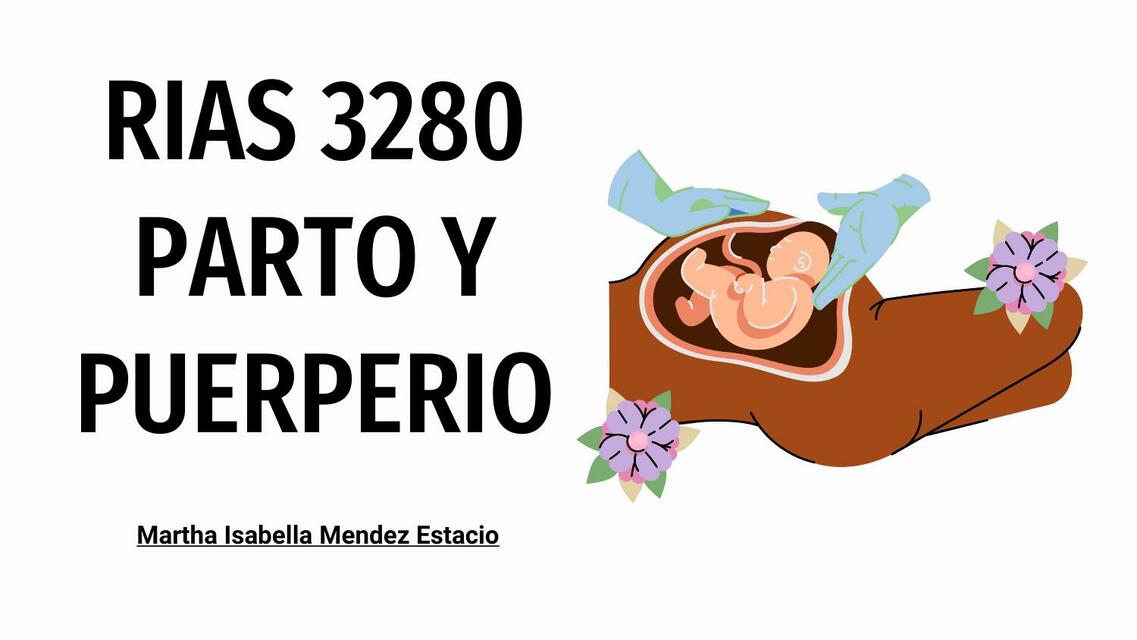 Flashcards de RIAS 3280 Parto y Puerperio | Por Isabella | uDocz