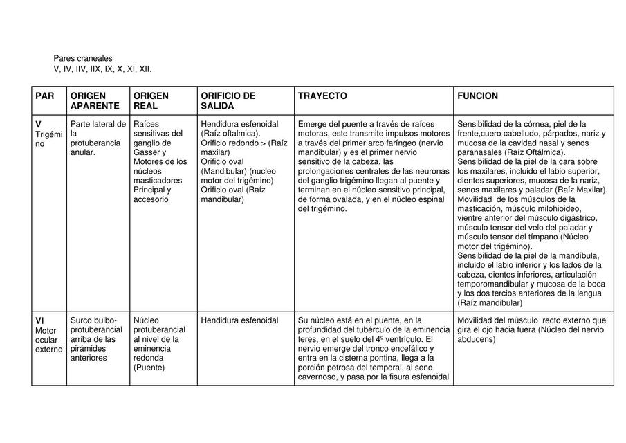 Pares craneales | Lara Ponzio | uDocz