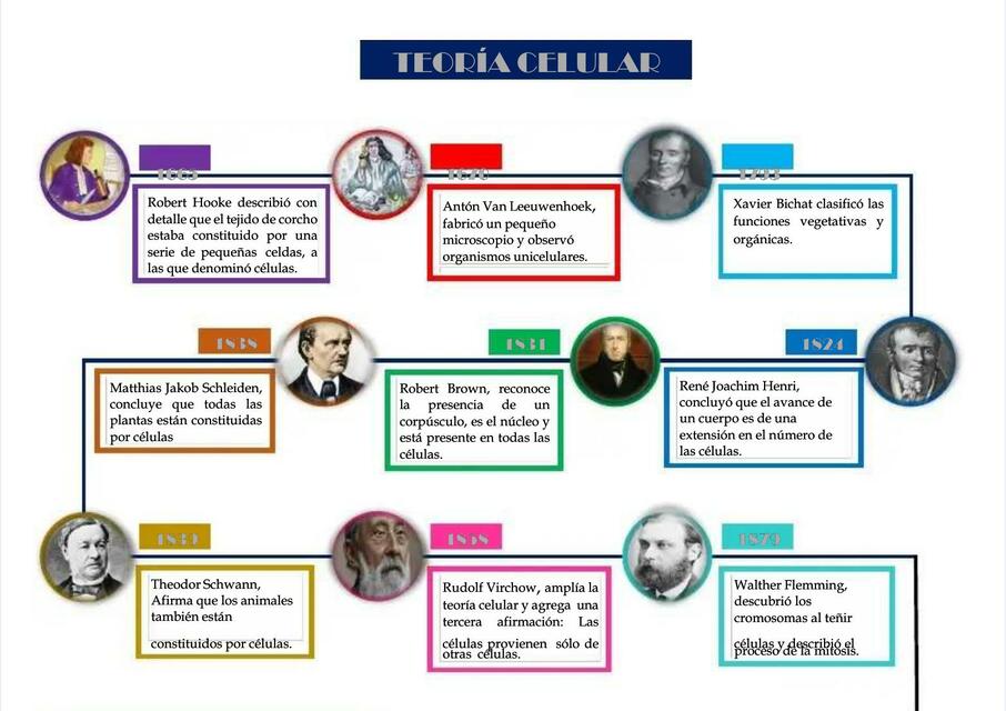 Línea del tiempo de la teoría celular | Facilitando tu estudio | uDocz