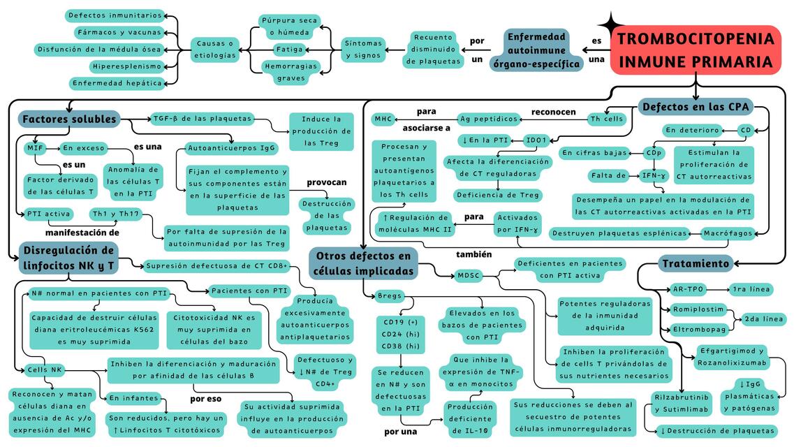 Trombocitopenia inmune primaria - Explicación fisiopatológica | Eduardo ...