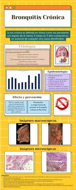 Infografía Bronquitis Crónica | AG | uDocz