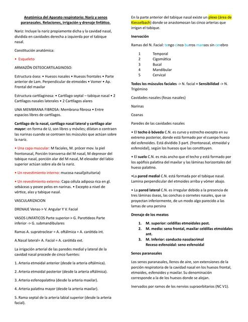 Anatómica del Aparato respiratorio examen teorico | Lesmil | uDocz