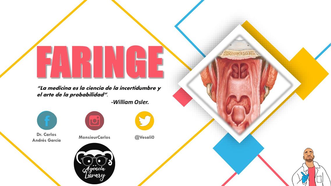 Anatomía - Faringe Pt. I, II y III por Carlos Andrés García | Dr ...