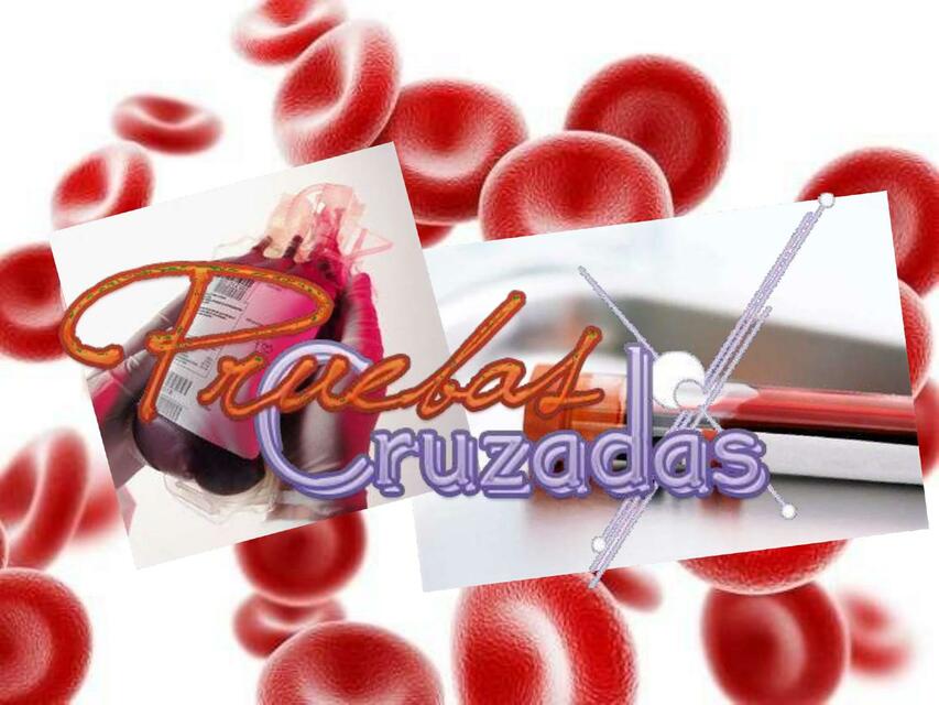 2 9 PRUEBAS POST TRANSFUSIONALES | Lisbeth Rodríguez | uDocz