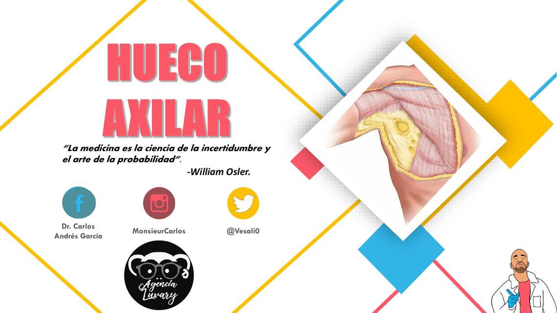 Anatomía - Hueco Axilar por Carlos Andrés García | Dr. Carlos Andrés ...