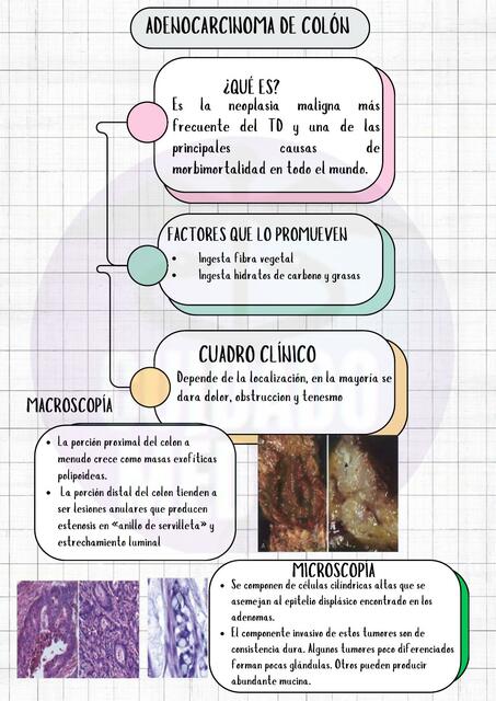 ADENOCARCINOMA DE COLÓN | @CUIDADO.MEDICO | uDocz