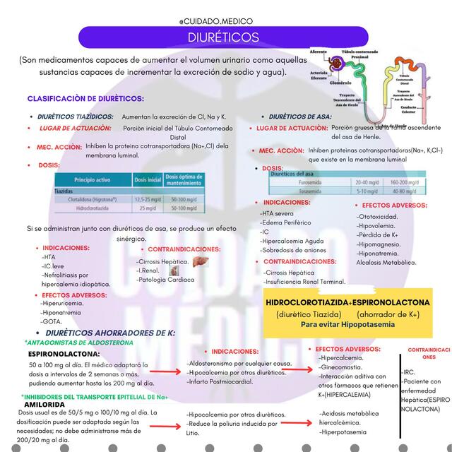 DIURÉTICOS | @CUIDADO.MEDICO | uDocz