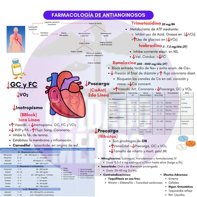 ANTIANGINOSOS | @CUIDADO.MEDICO | uDocz