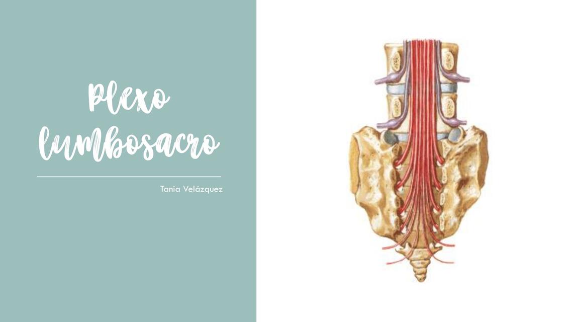 Irrigacion intervención | uDocz