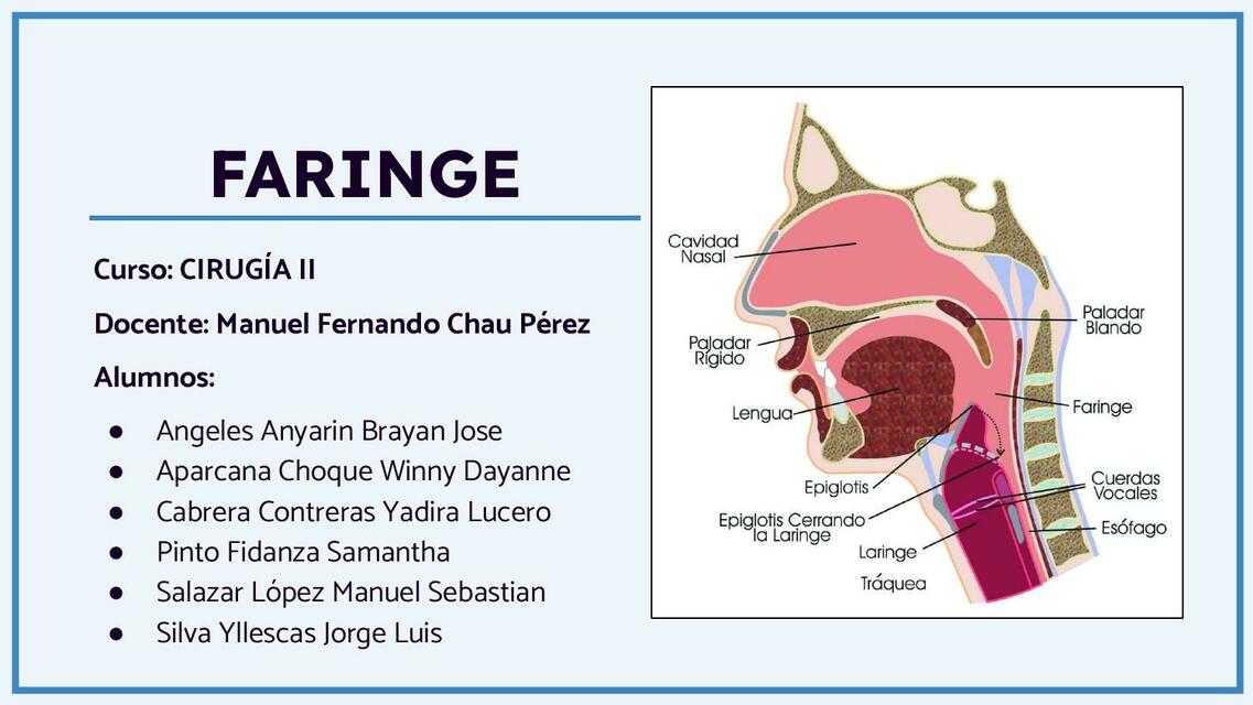 Faringe grupo | Rodrigo Ramirez | uDocz