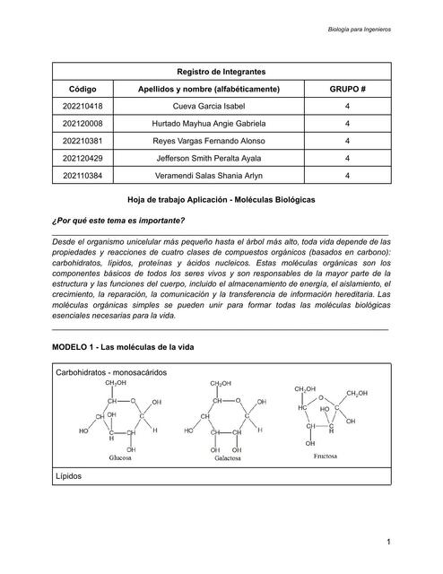 Moléculas Biológicas | Angie Gabriela Hurtado Mayhua | uDocz